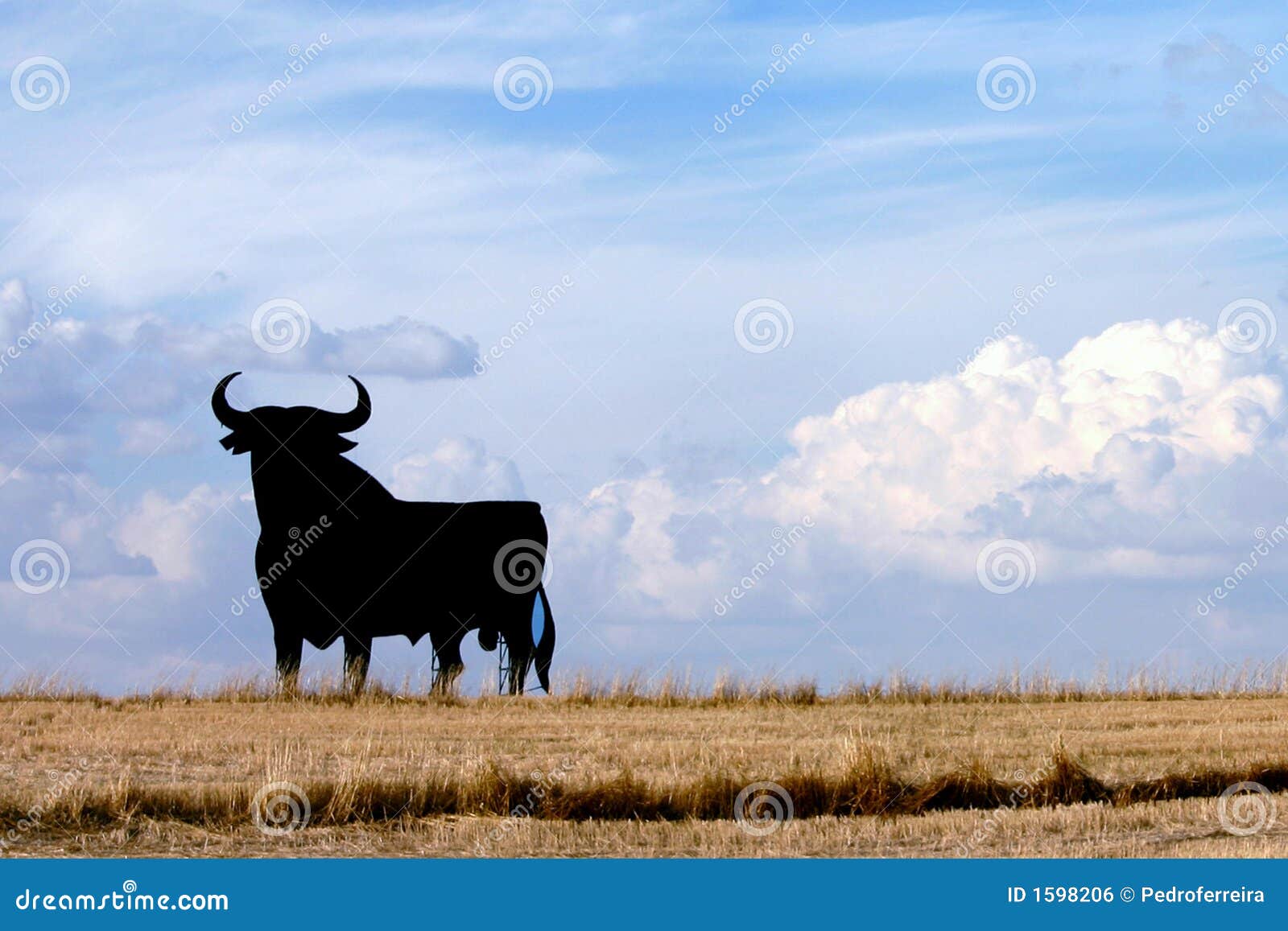 Bull of Spain stock photo. Image of blood, symbol, spain - 1598206