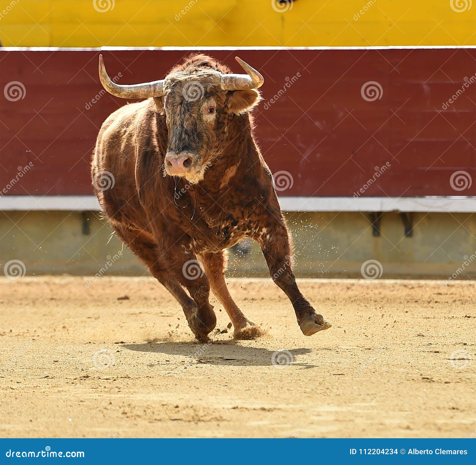 Bull in spain stock photo. Image of death, spanish, blood - 112204234
