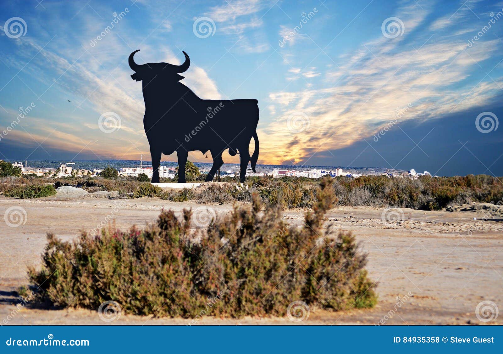 A Bull in Spain stock photo. Image of costa, background - 84935358