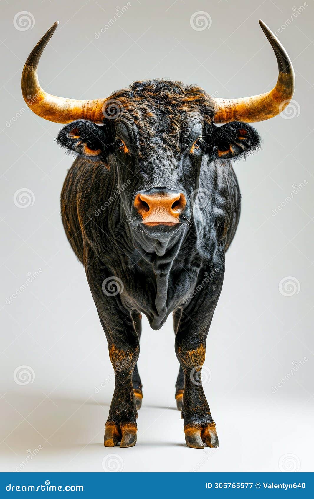 Bull Statue with Long Curved Horns and Golden Ring in Its Ear ...