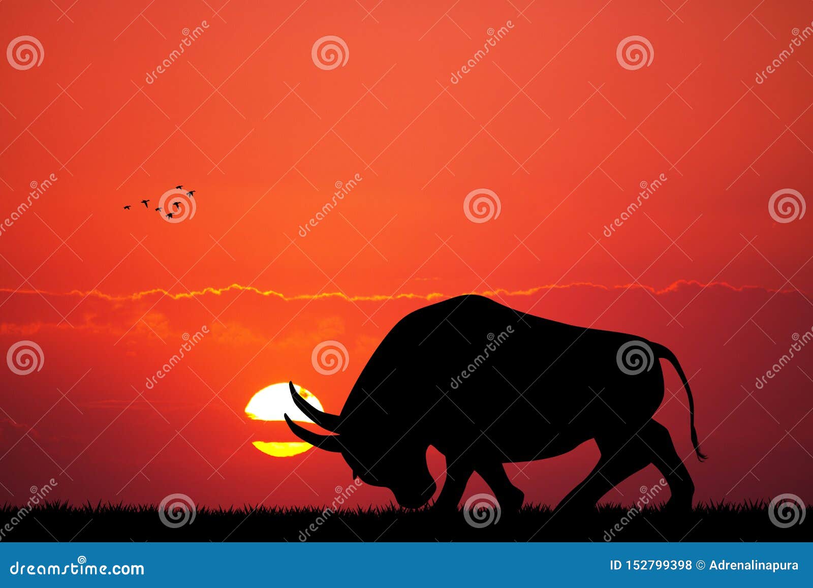 Bull at sunset stock illustration. Illustration of bullfight - 152799398