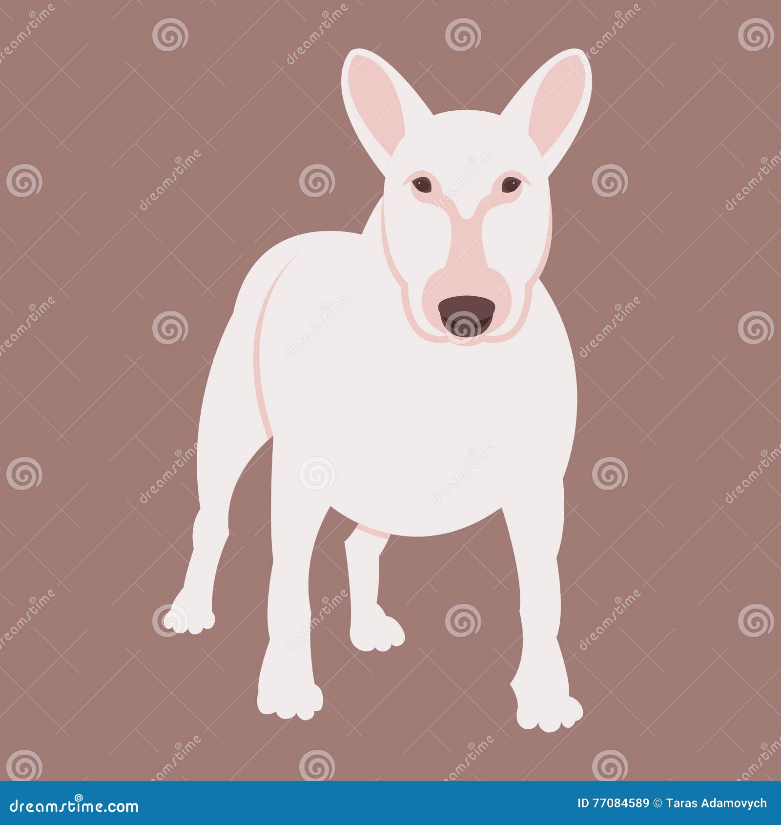 Bull Terrier Dog Vector Style Flat Stock Vector - Illustration of ...