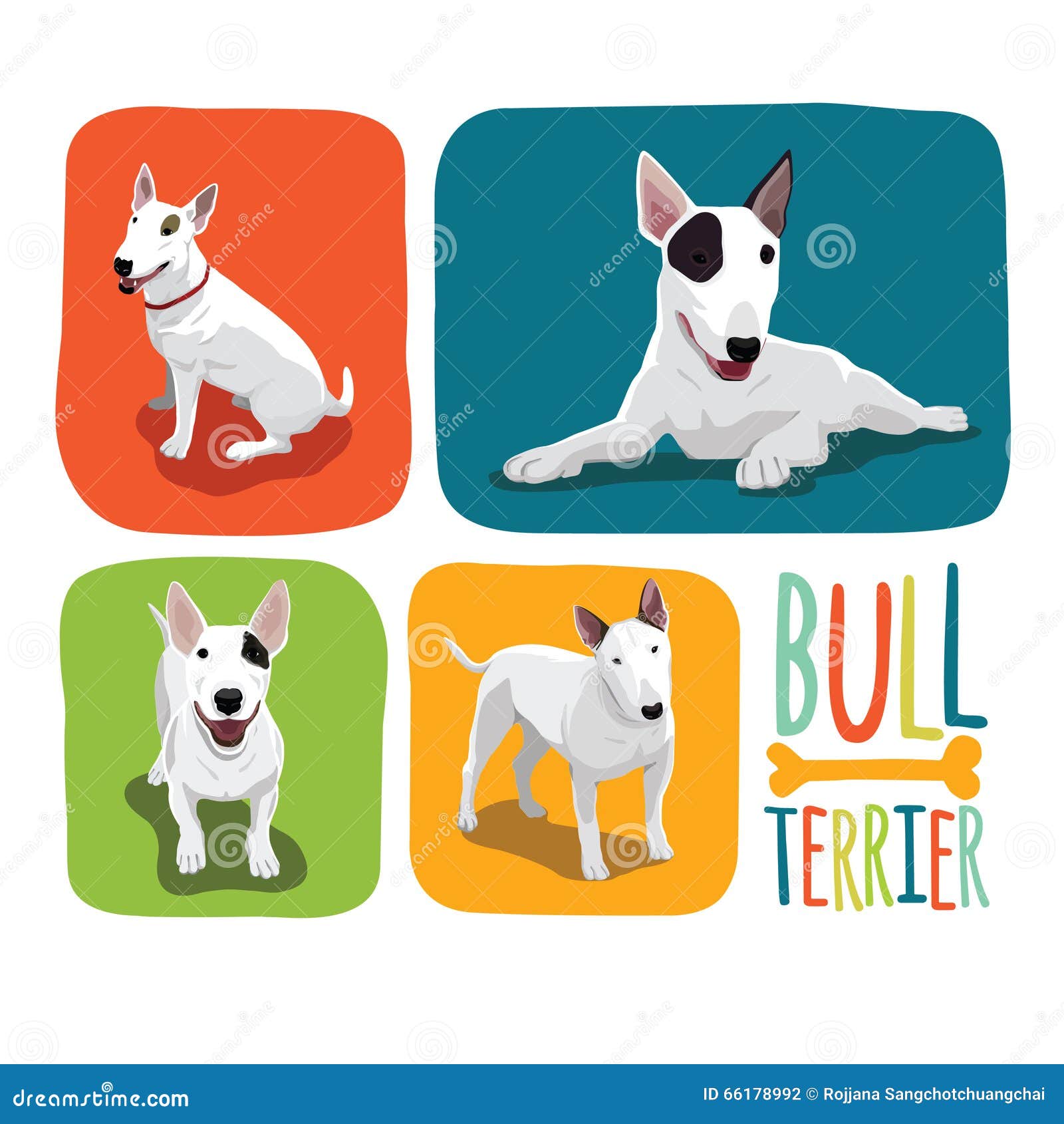 Bull Terrier stock vector. Illustration of standing, drawing - 66178992