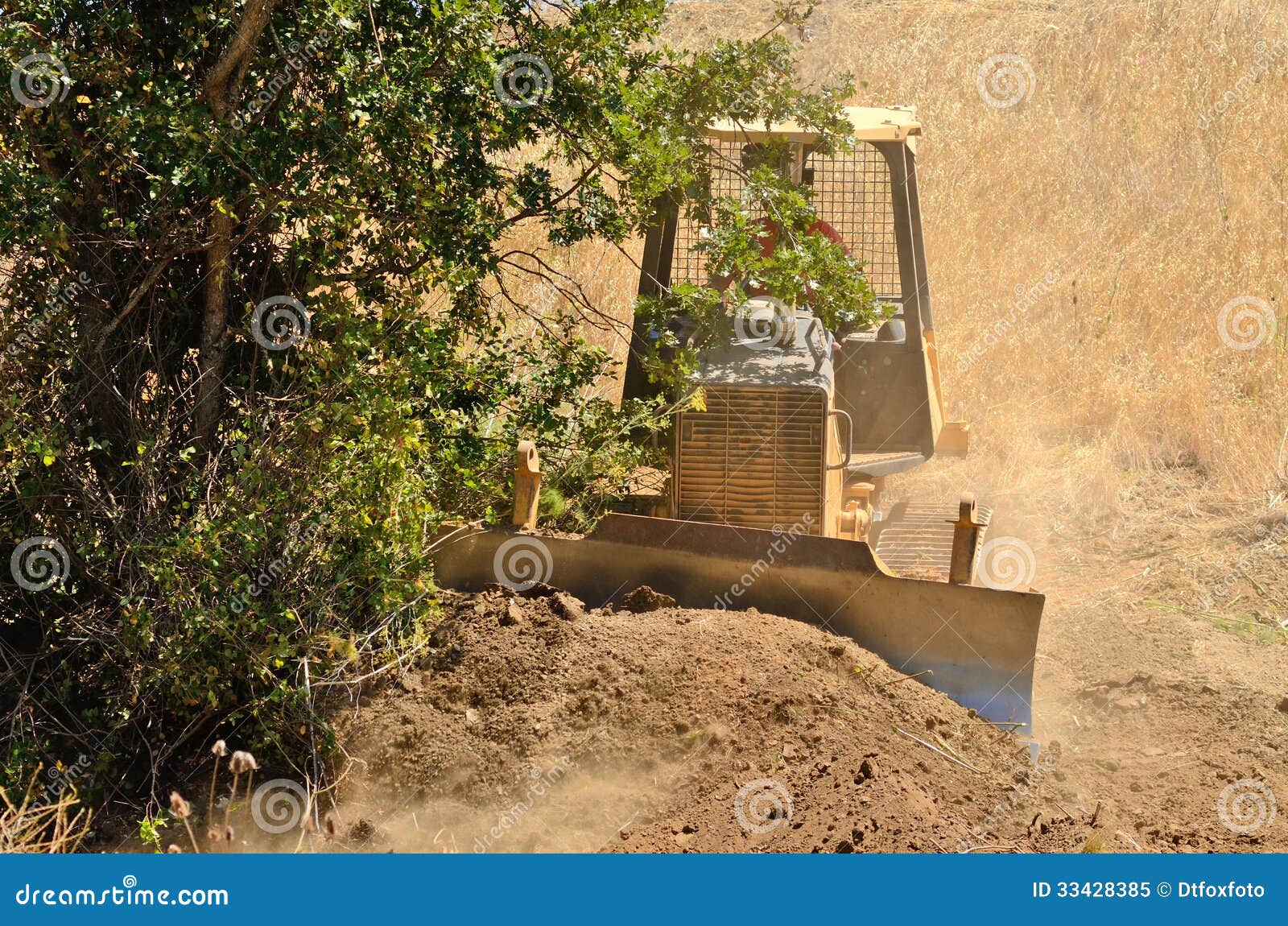 Bull Tree stock image. Image of push, blade, bulldozer - 33428385