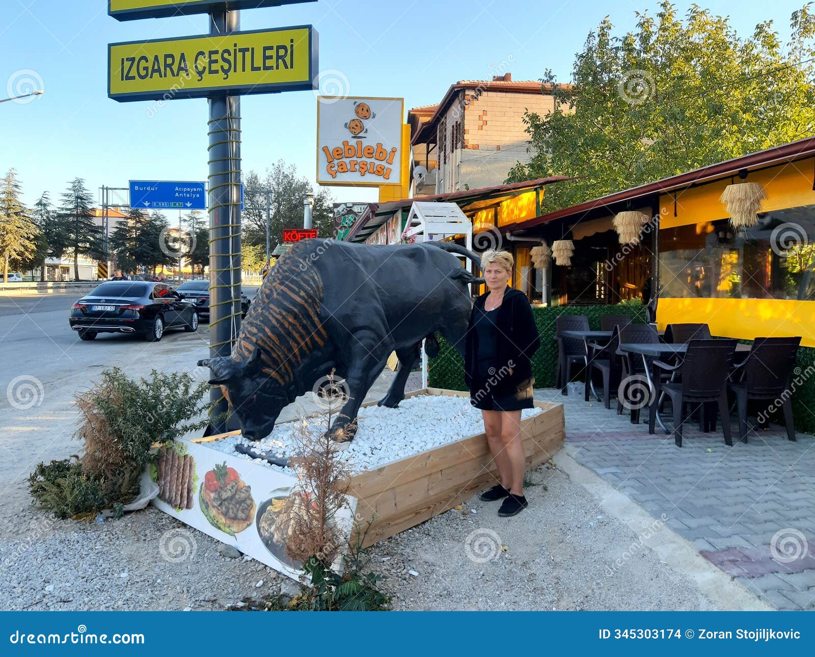 Bull whale editorial stock image. Image of beef, cattle - 345303174