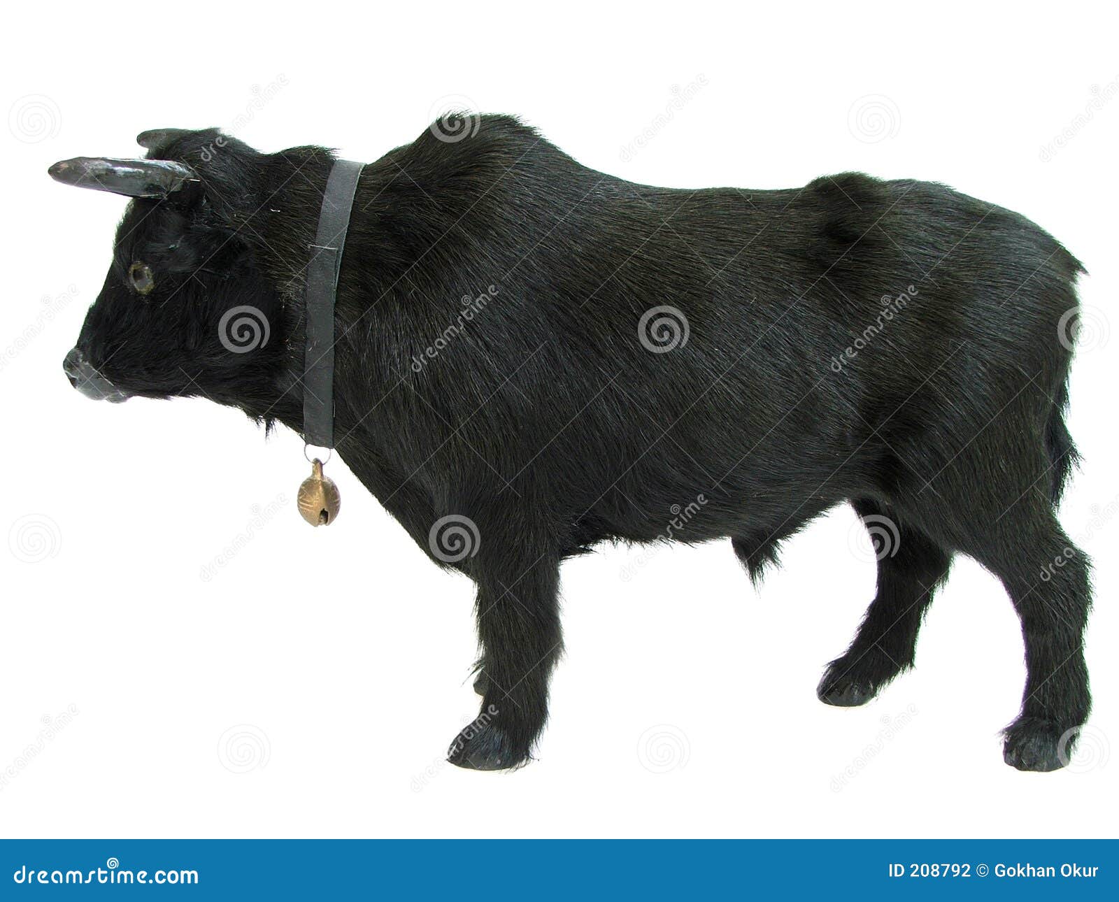 Bull01 stock photo. Image of wild, male, butcher, bull - 208792
