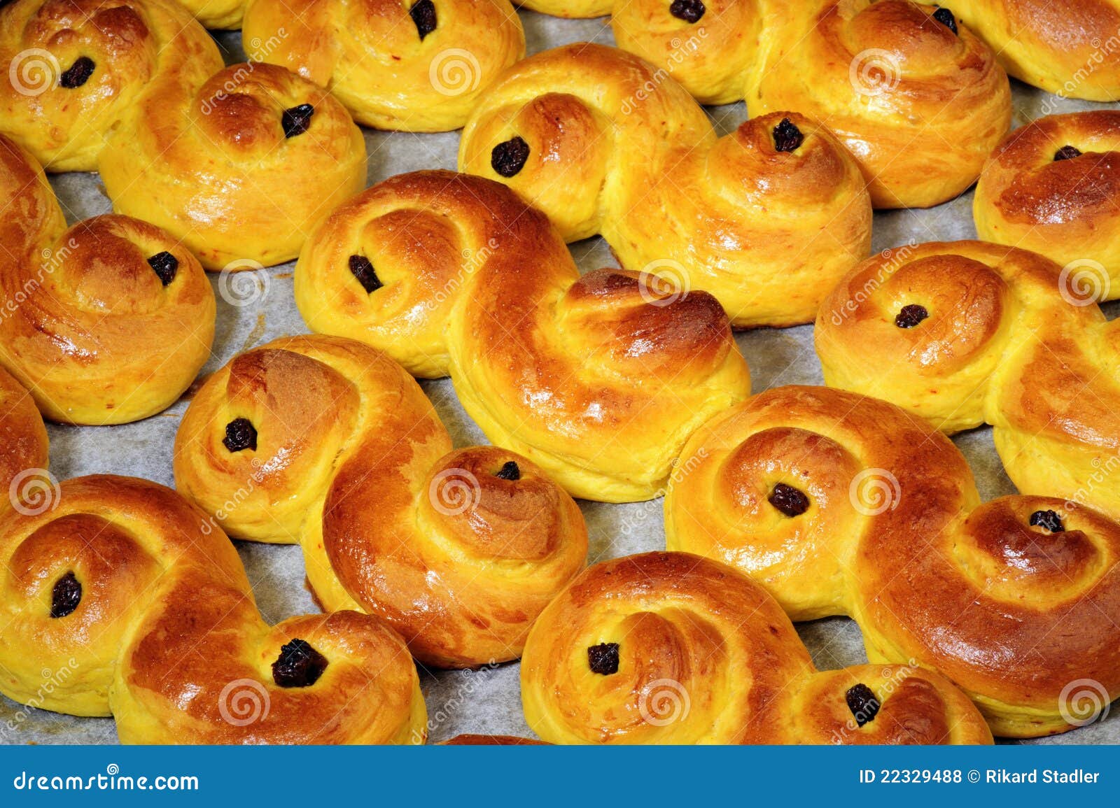 Bullar lucia arkivfoto. Bild av magasin, svensk, svett - 22329488