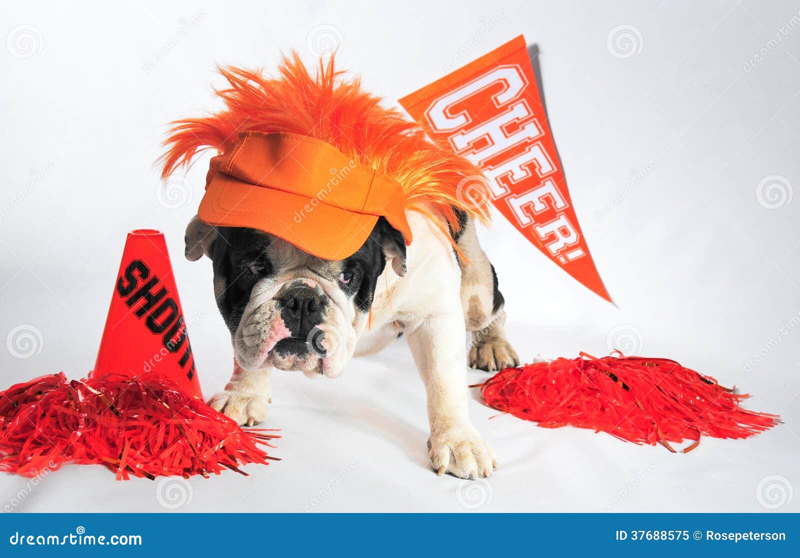 Cheer Props Stock Photos - Free & Royalty-Free Stock Photos from Dreamstime
