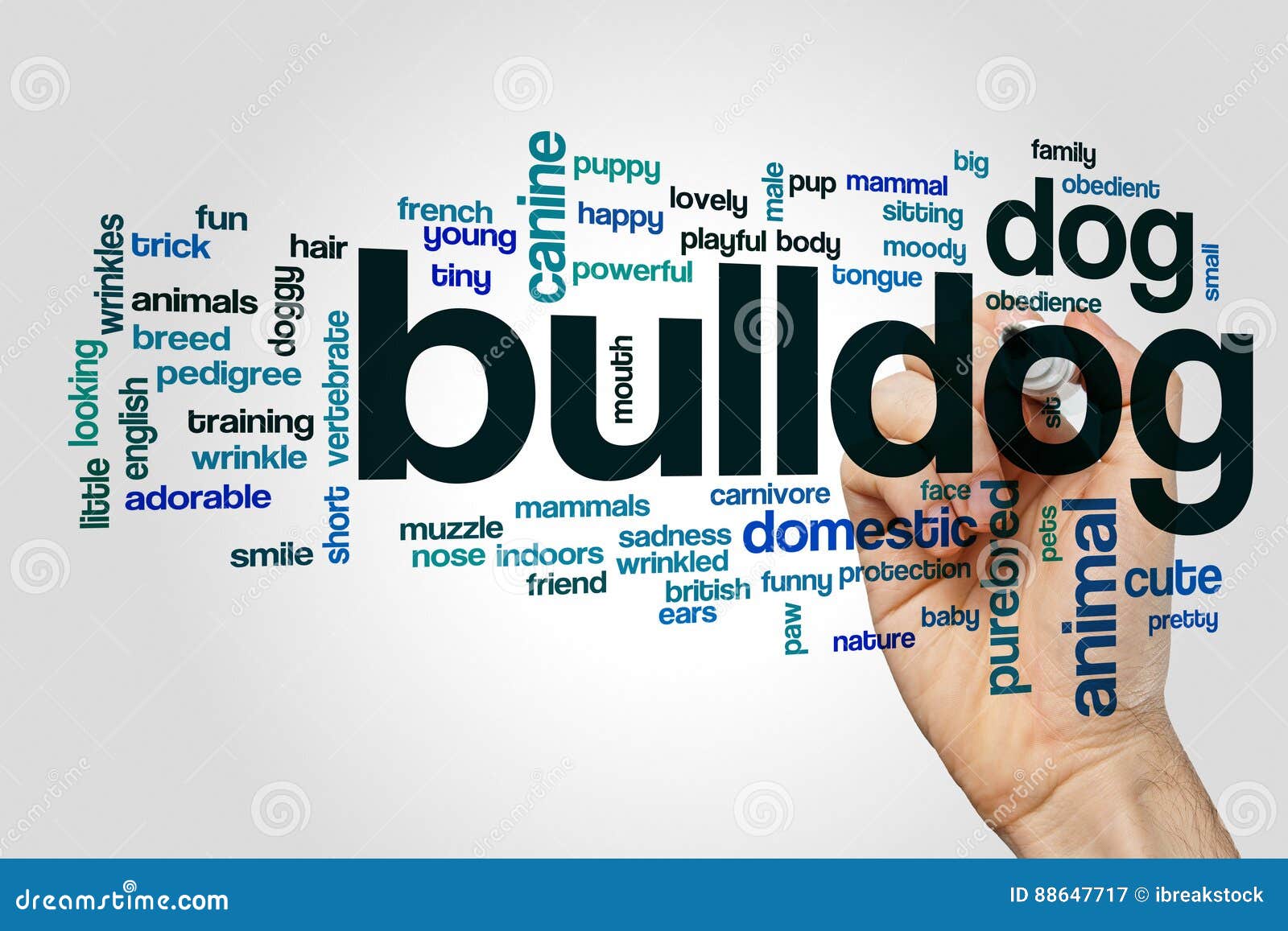 Bulldog Word Cloud on Grey Background Stock Image - Image of breed ...
