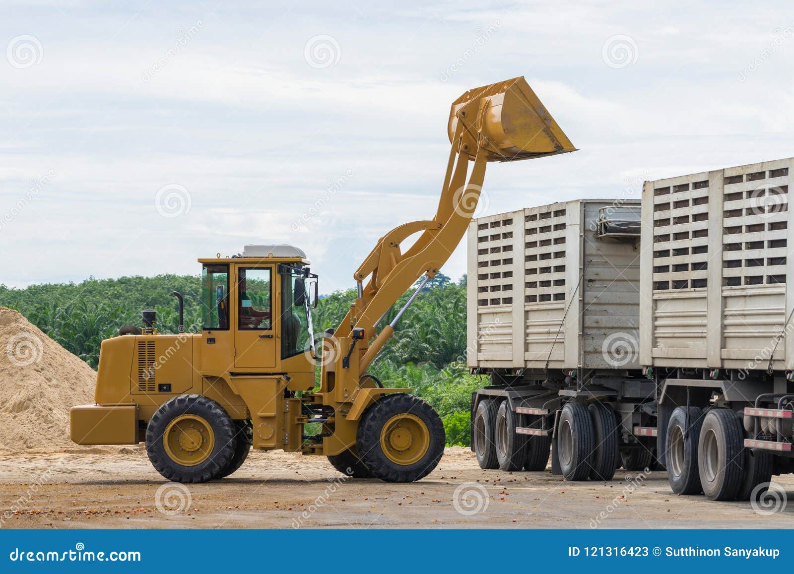 Bulldozer Loading Sand into the Truck Stock Image - Image of machine ...