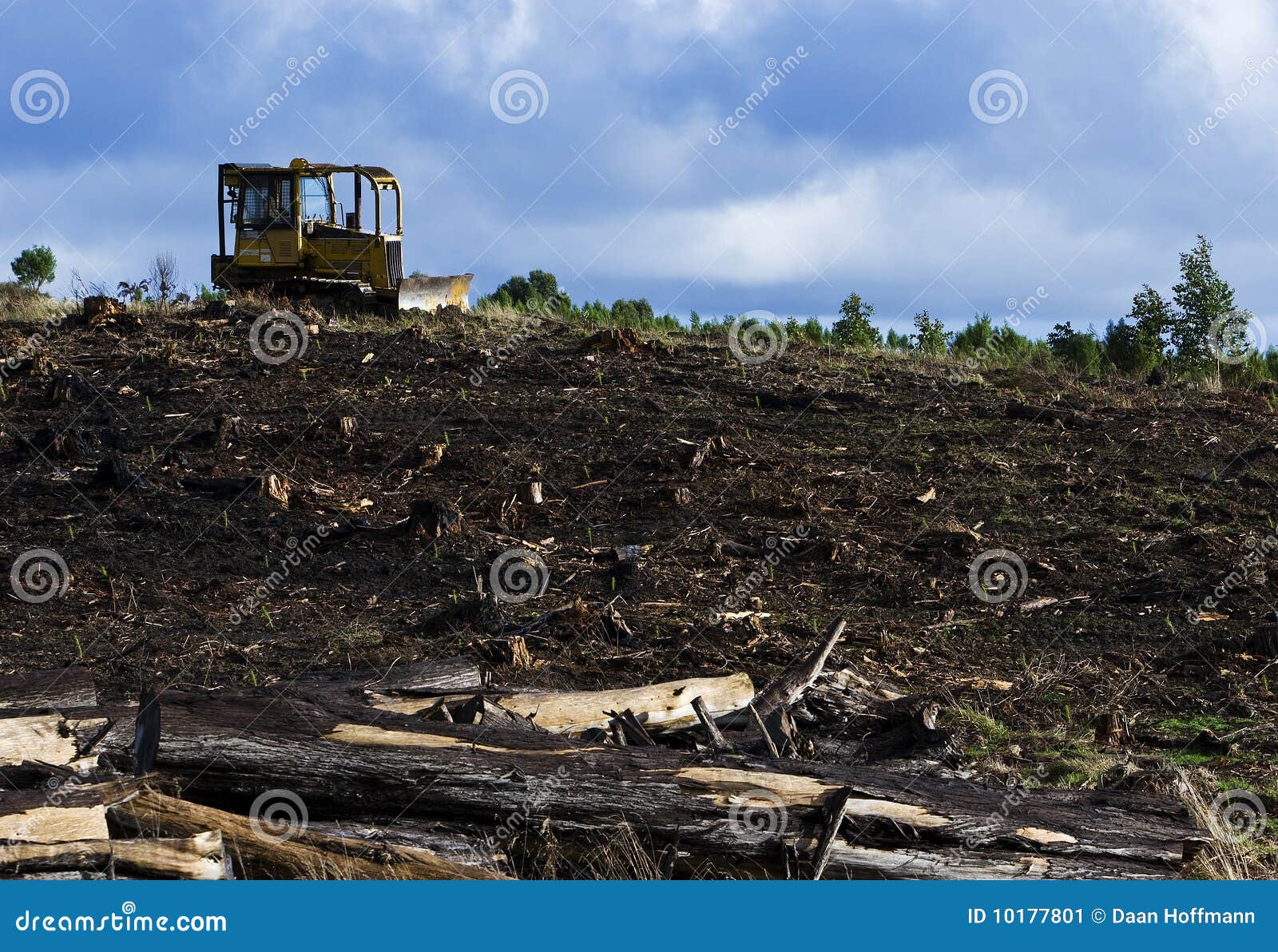 Bulldozer on logging field stock image. Image of bright - 10177801