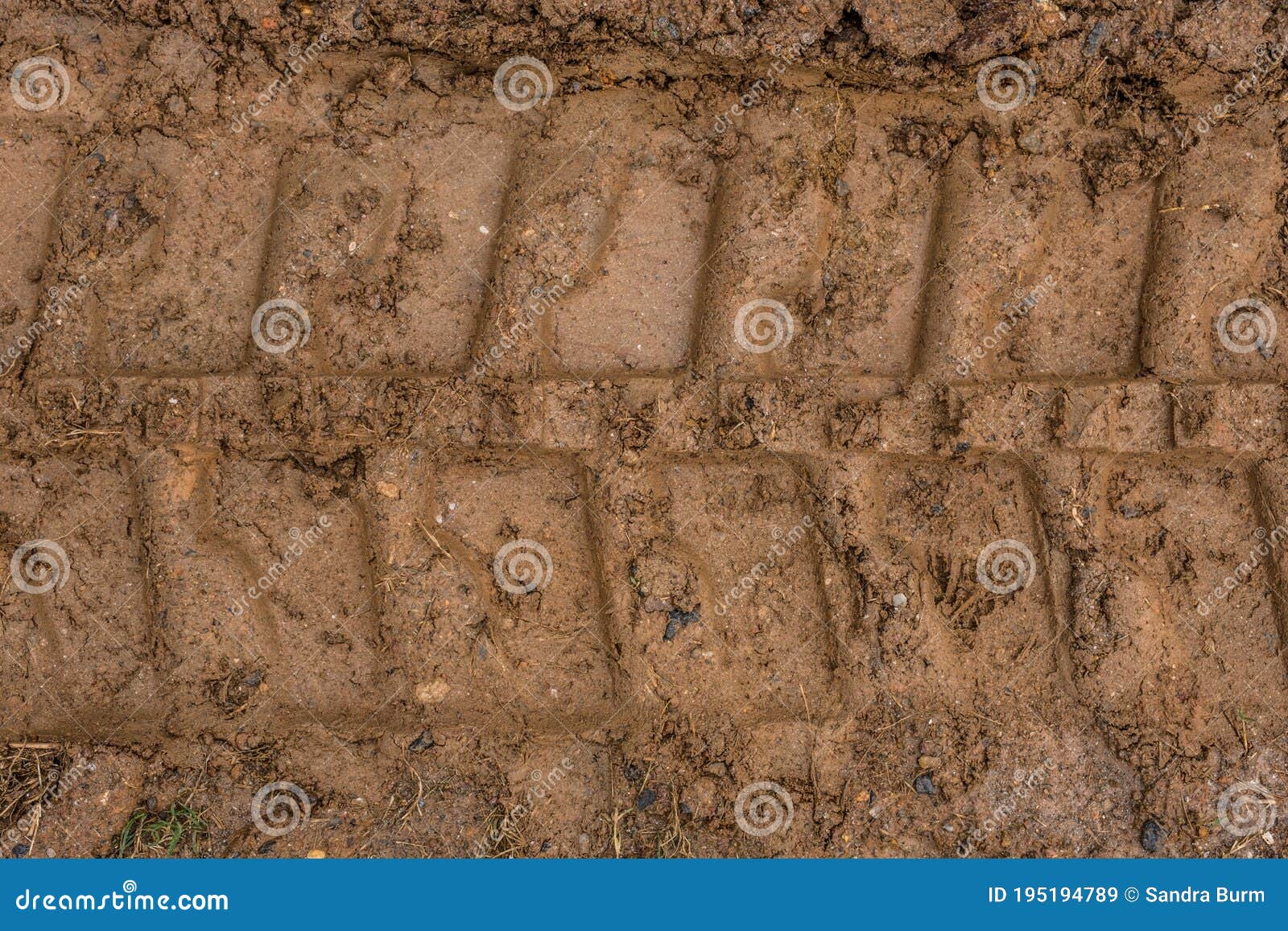 Bulldozer Tracks in the Mud Closeup Stock Image - Image of detail ...