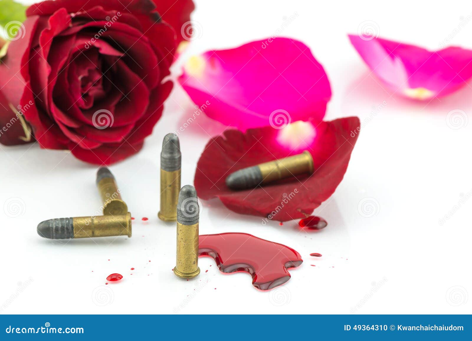 Bullet On Blood And Red Rose On White Background Stock Photo - Image of ...