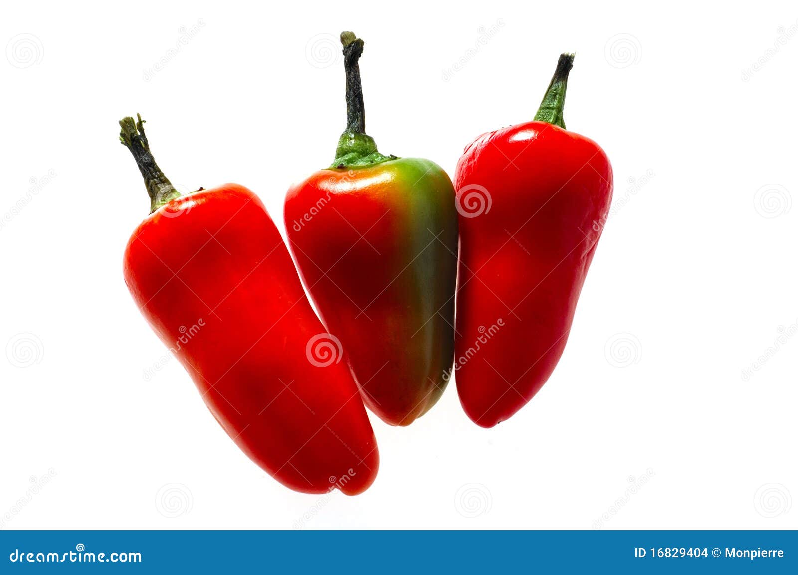 Bullet Chiles stock photo. Image of vegetable, spicy - 16829404