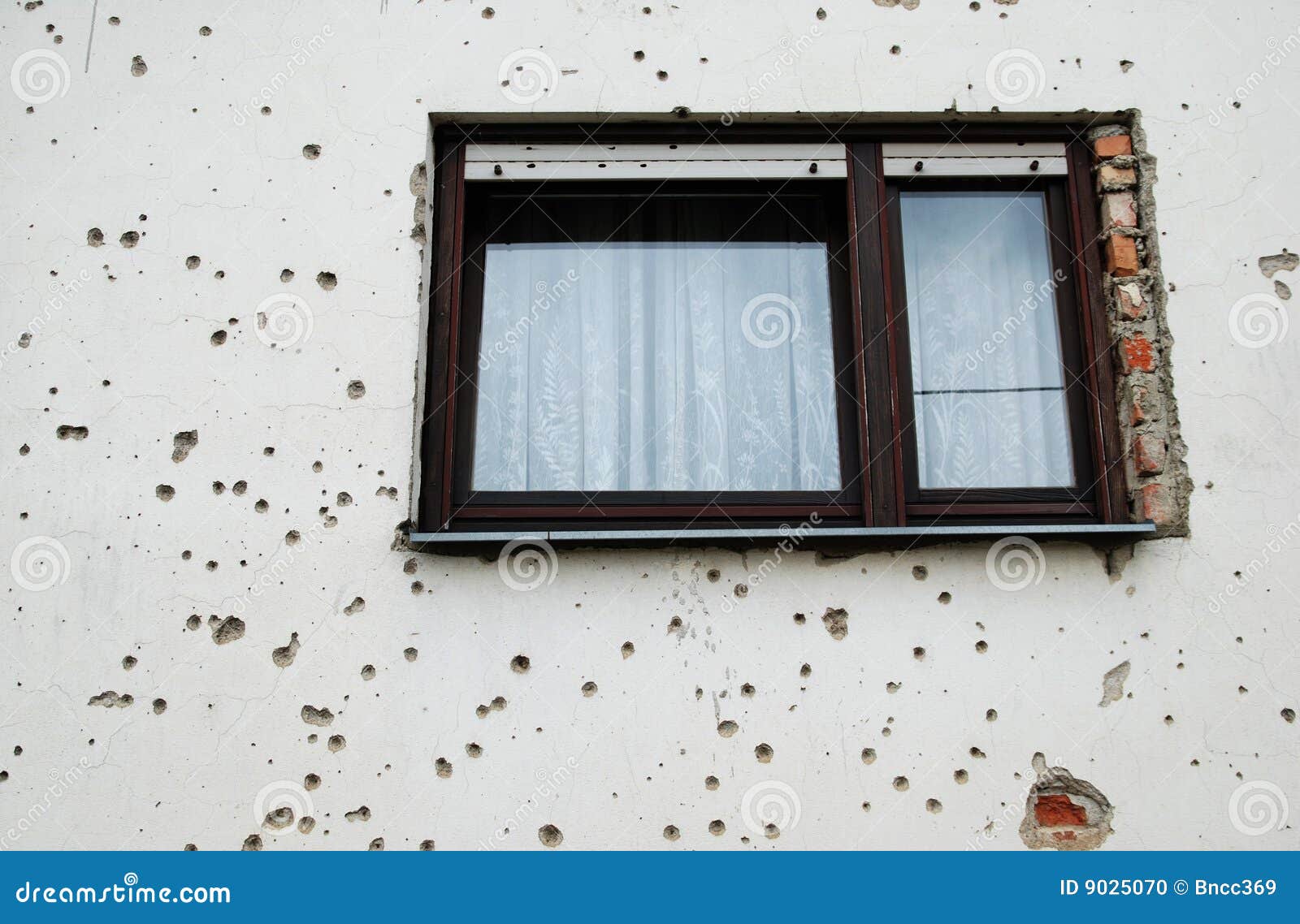 Bullet Holes stock photo. Image of window, shot, bombard - 9025070