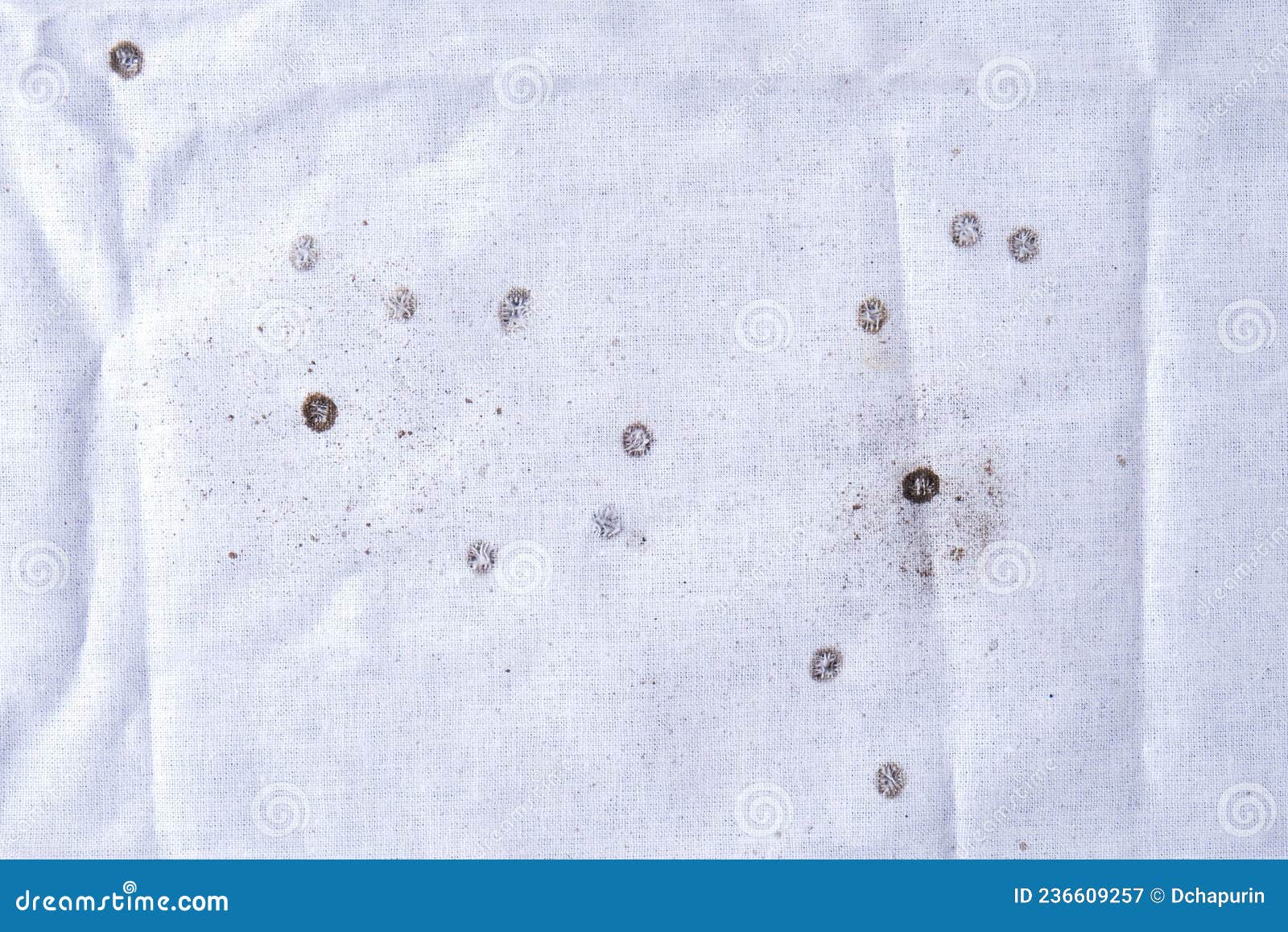 Bullet Holes on the Fabric Close-up Stock Image - Image of ballistics ...