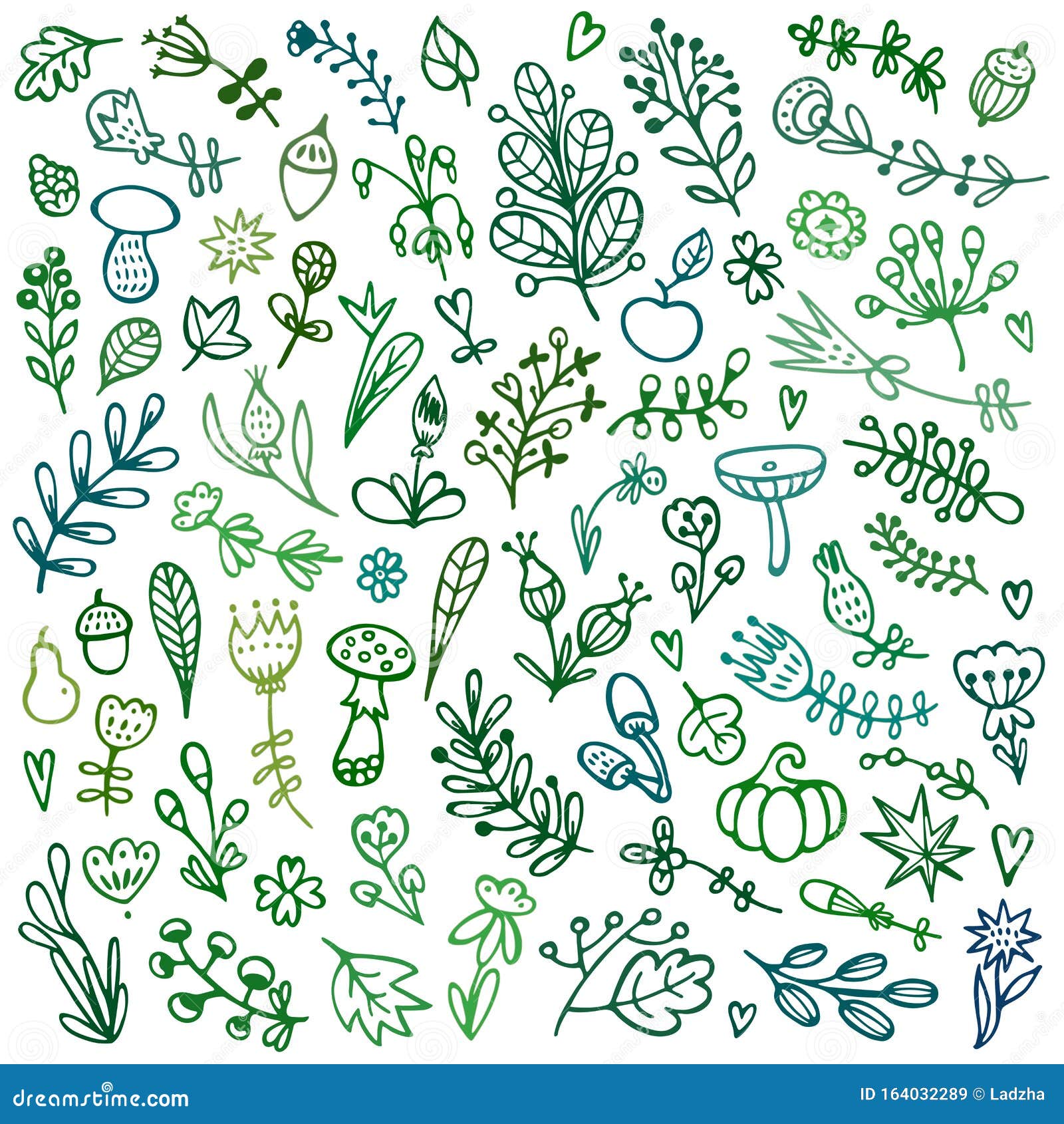 Set of Doodles Branches, Herbs, Flowers, Plants Stock Vector ...
