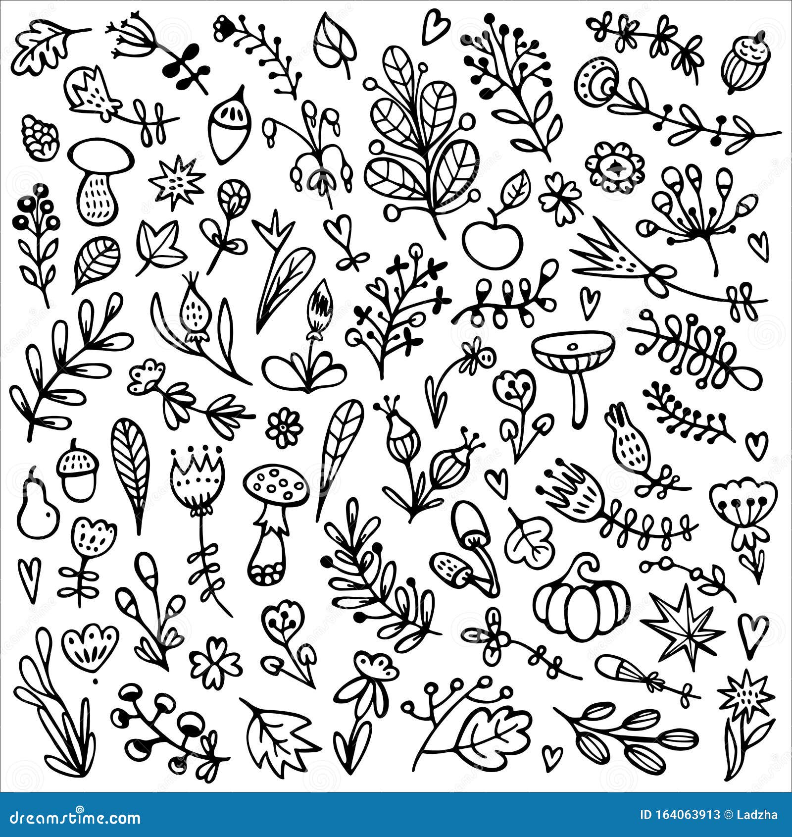 Set of Doodles Flowers, Branches, Leaves, Herbs Stock Vector ...