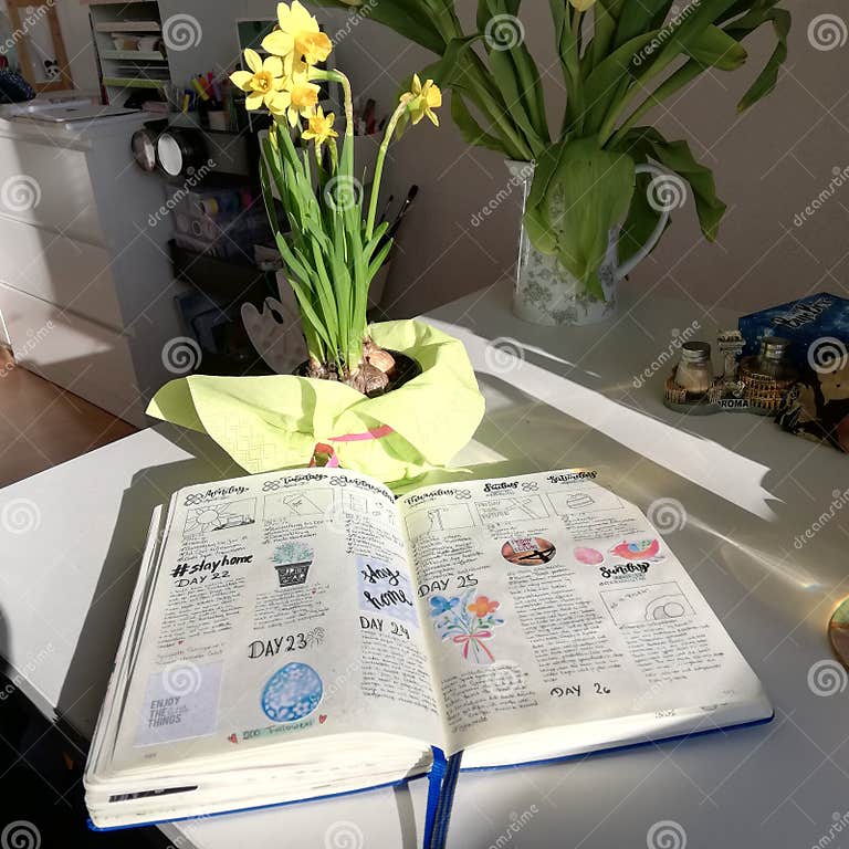 Bullet Journal, Spring, Sun, Stock Photo - Image of flowerpot, food ...