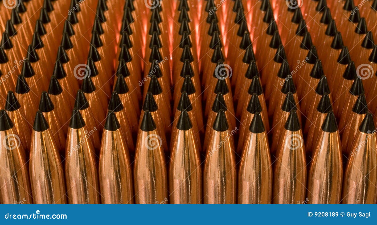 Bullet lineup stock image. Image of polymer, brass, guns - 9208189