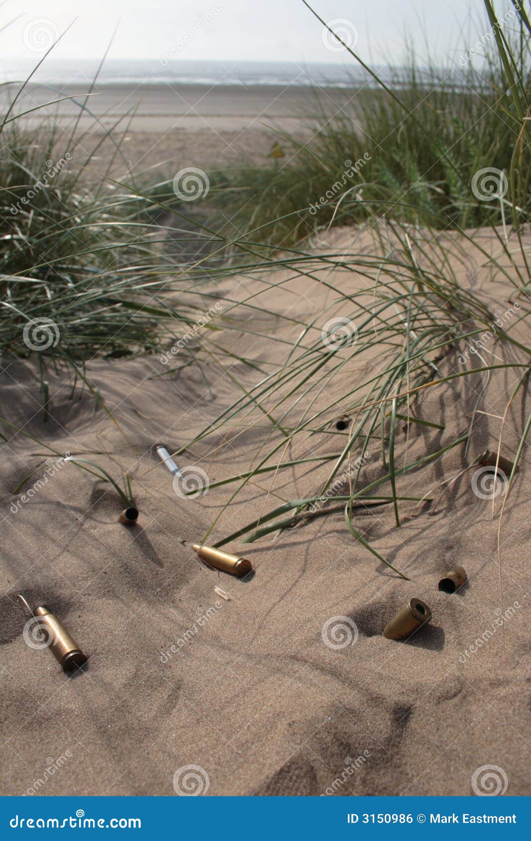 Bullet in the Sand 3 stock photo. Image of beach, object - 3150986