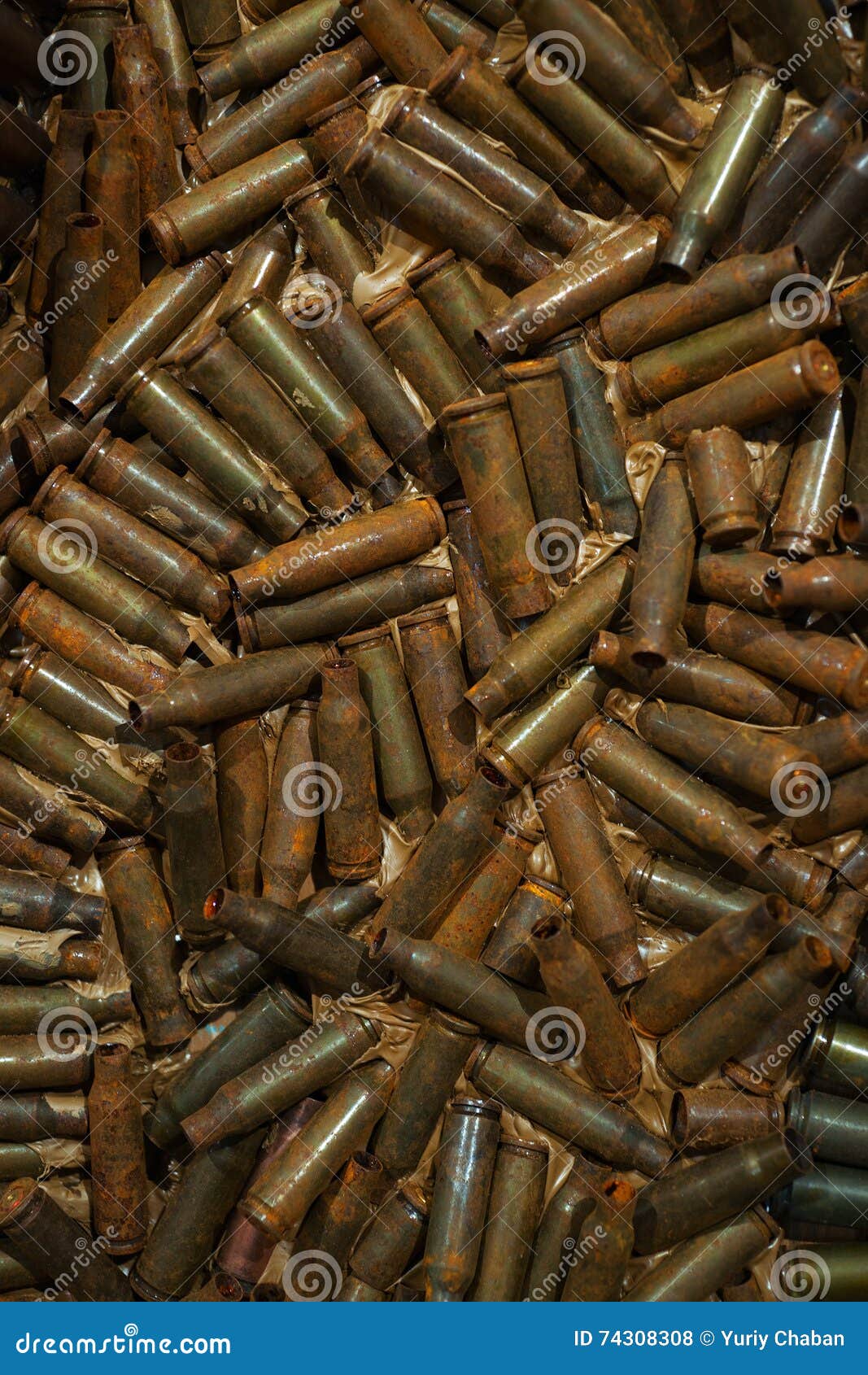 Bullet shells stock photo. Image of cartridge, danger - 74308308