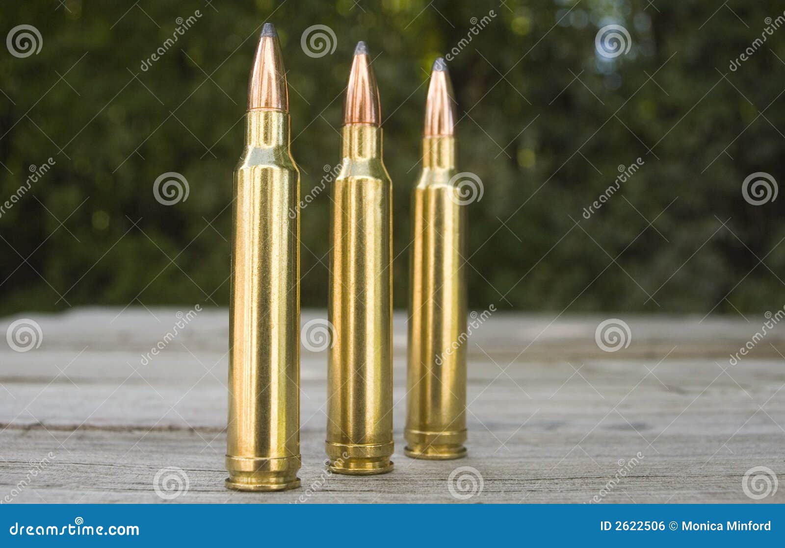 3 Bullets Upright On Table - .22 Long Rifle Shotshell Ammunition ...