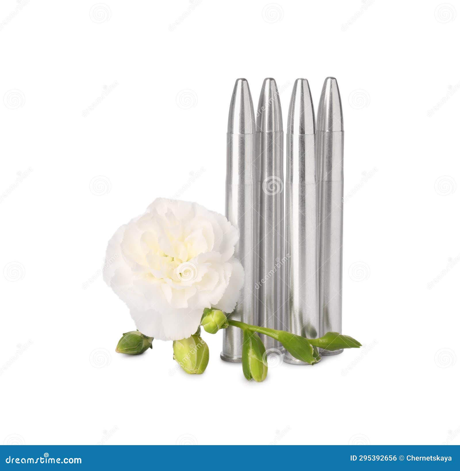 Bullets and Beautiful Flower Isolated on White Stock Photo - Image of ...