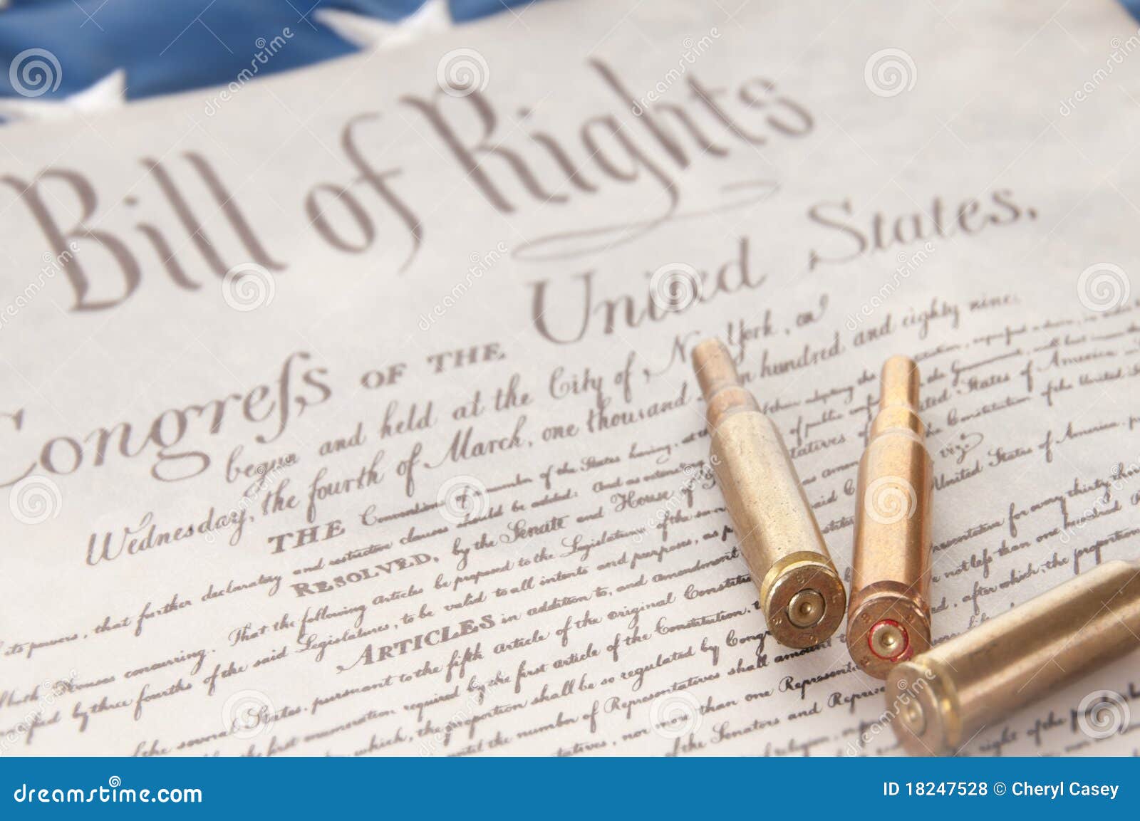 Bullets on Bill of Rights stock photo. Image of american - 18247528
