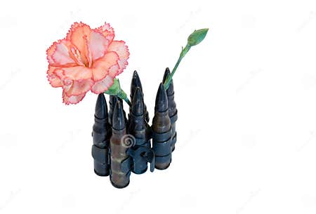 Bullets and a flower stock photo. Image of incompatibility - 4464174
