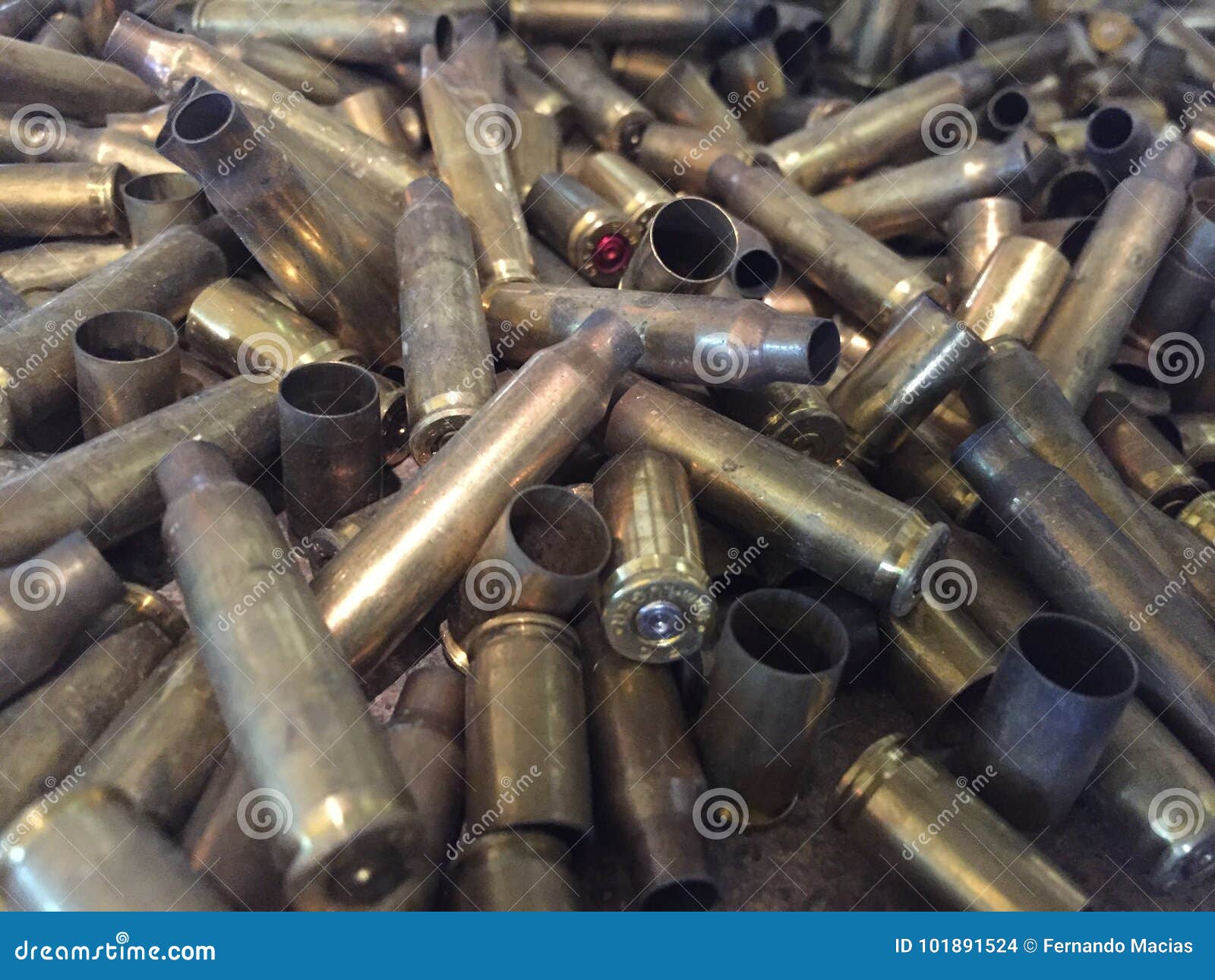 Bullets stock photo. Image of guerrilla, armament, shells - 101891524