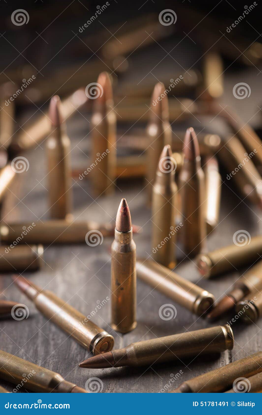 Bullets stock image. Image of combat, army, murder, forces - 51781491