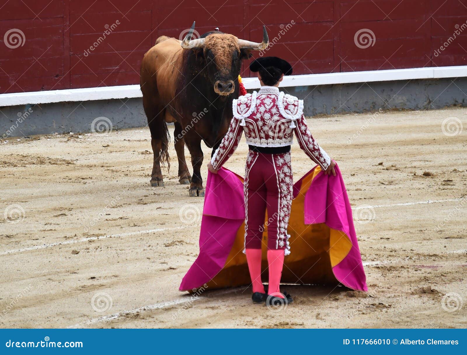 Bullfight redaktionell foto. Bild av härlig, liggande - 117666010
