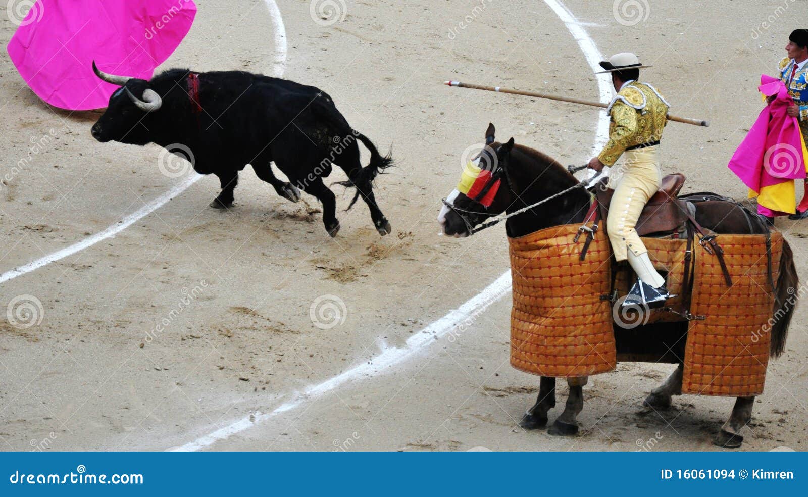 Bullfight editorial stock image. Image of bravura, culture - 16061094