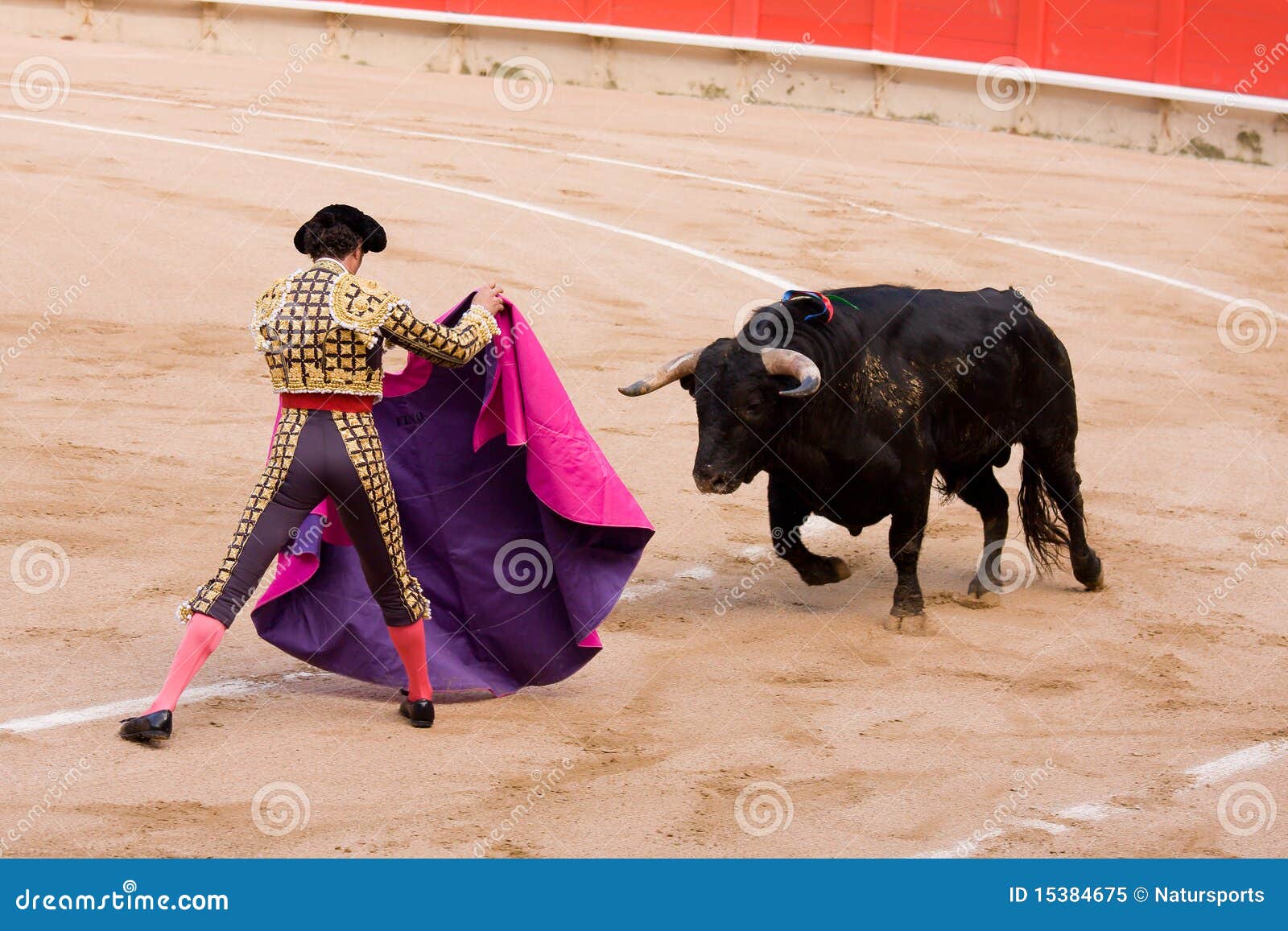 Bullfight in Barcelona editorial image. Image of horn - 15384675