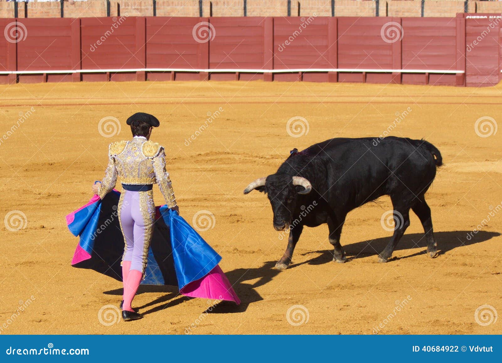 Bullfight editorial photography. Image of deadly, brave - 40684922