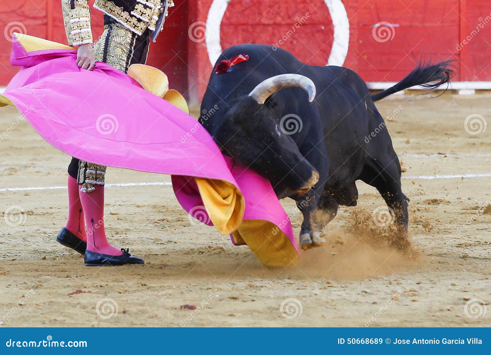 Bullfight stock image. Image of dangerous, blood, bullfighting - 50668689