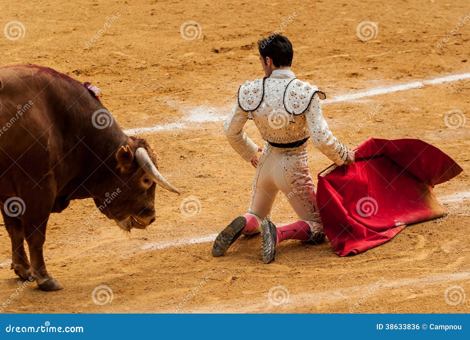 Bullfight3 editorial photo. Image of summer, valencia - 38633836