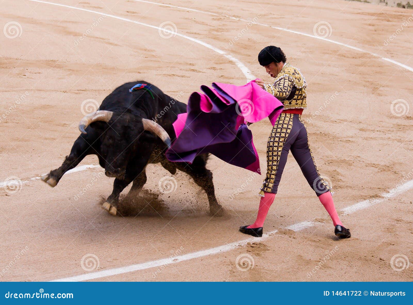 Bullfighter fotografia editoriale. Immagine di coraggioso - 14641722