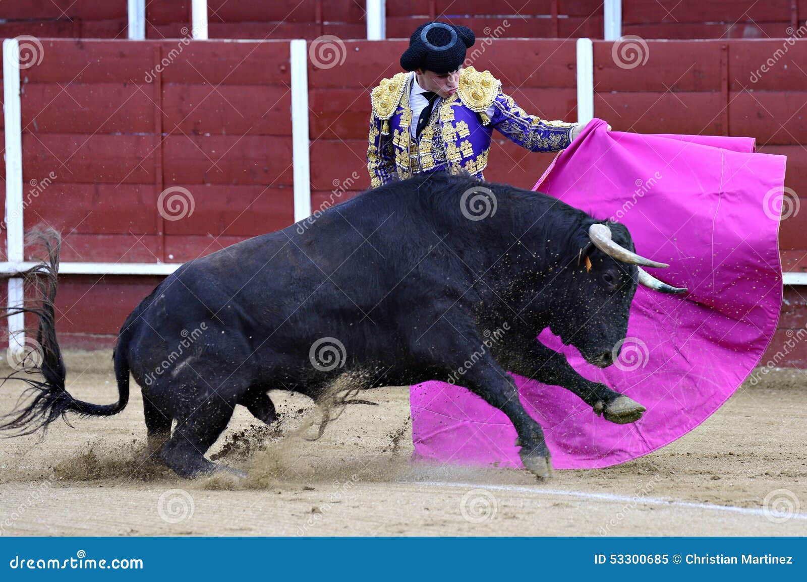 Bullfighter stock afbeelding. Image of europees, arena - 53300685