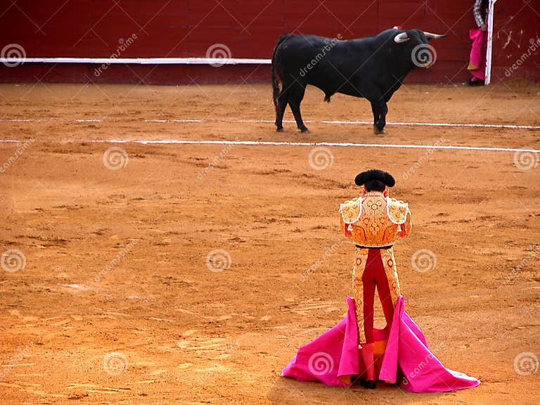 Bullfighter and Bull in a Standoff Stock Photo - Image of bull, life ...