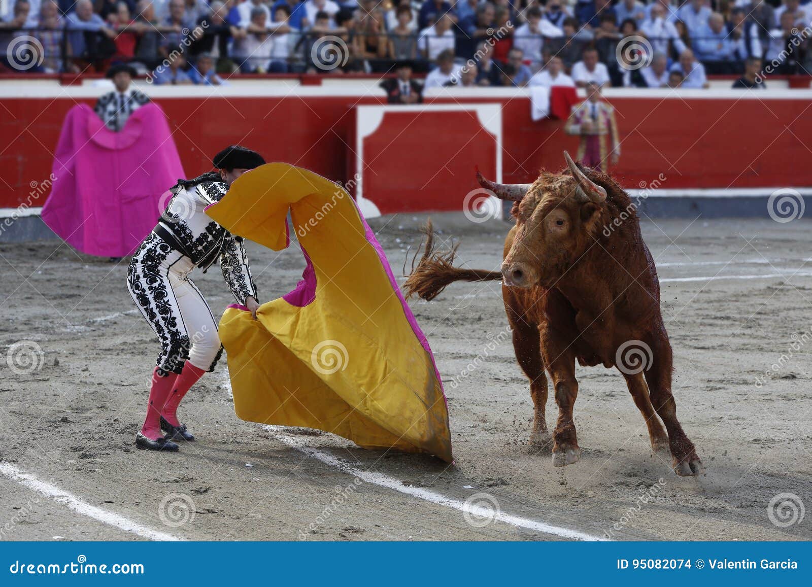 Bullfighter editorial stock image. Image of bull, holiday - 95082074