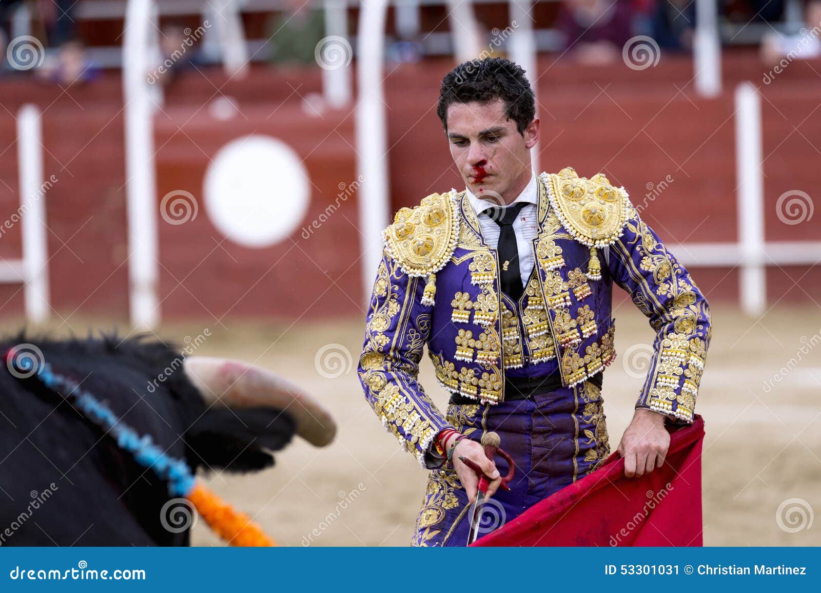 Bullfighter stock image. Image of holiday, bullfighter - 53301031