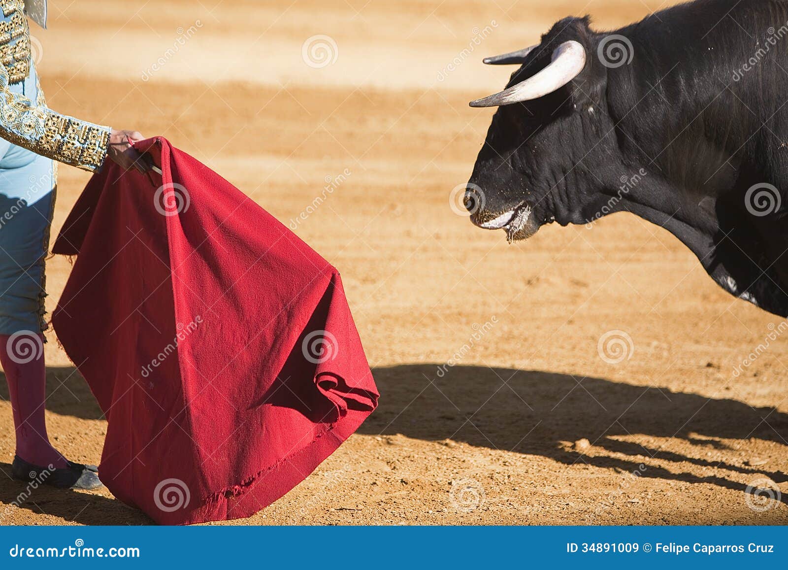 Bullfighter with the Cape in the Bullfight Stock Image - Image of bull ...