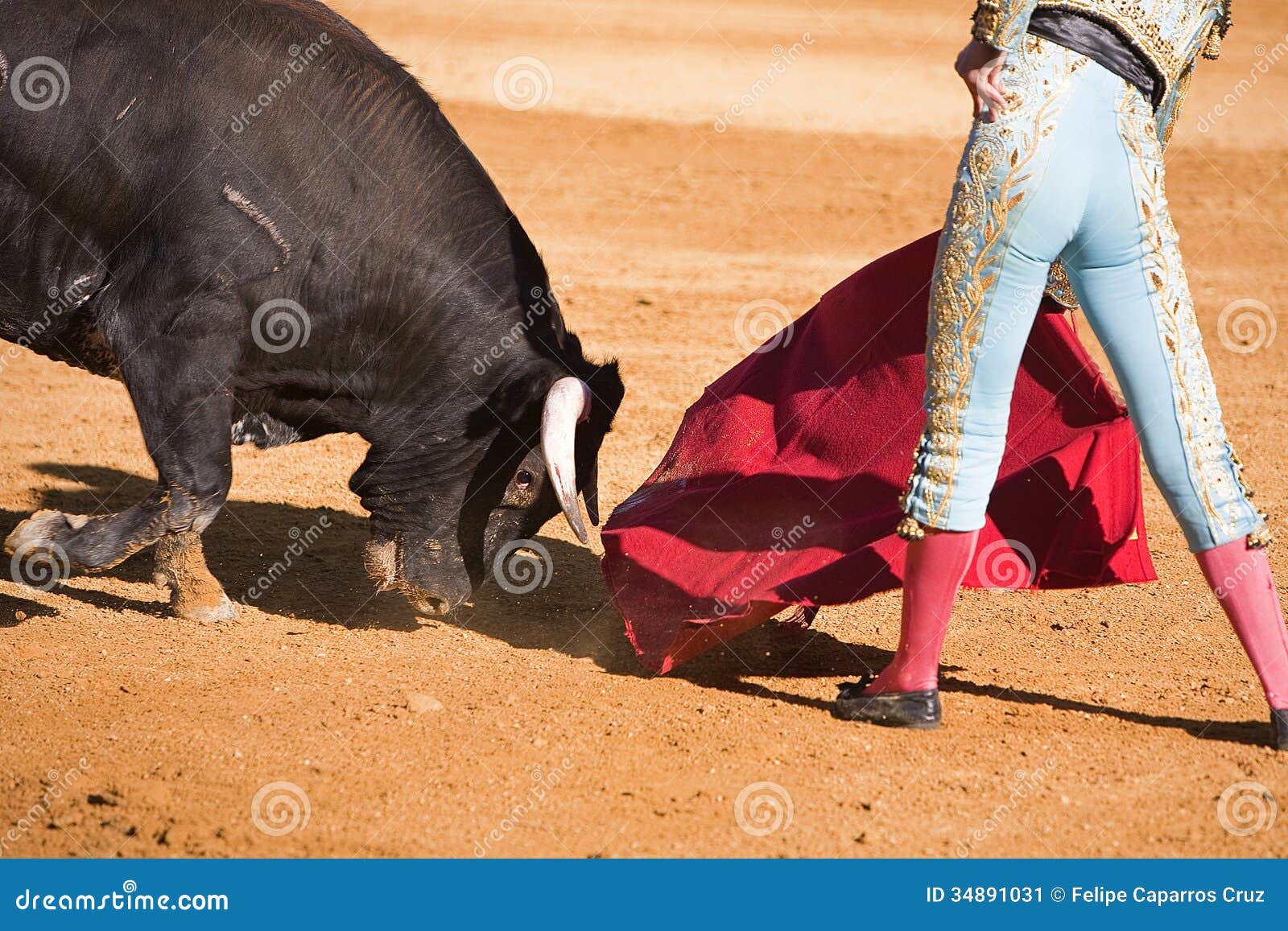 Bullfighter with the Cape in the Bullfight Stock Image - Image of ...