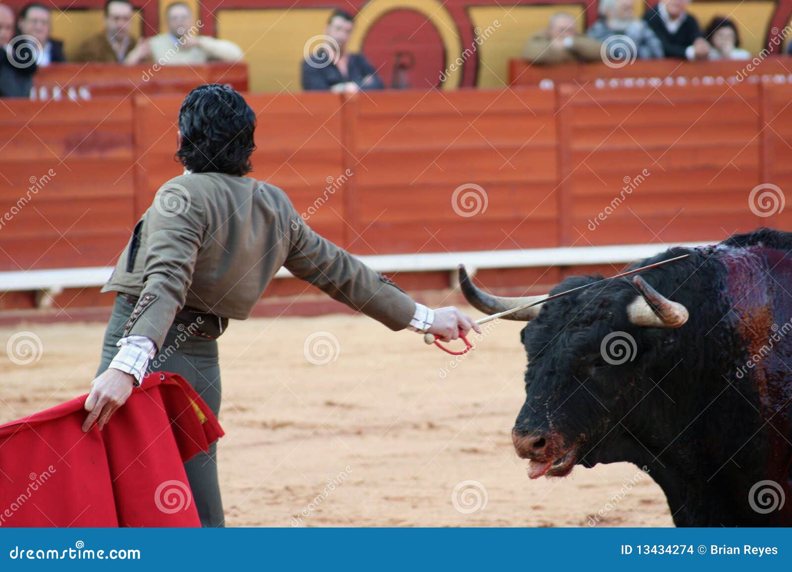 Bullfighter defies a bull editorial stock image. Image of spain - 13434274