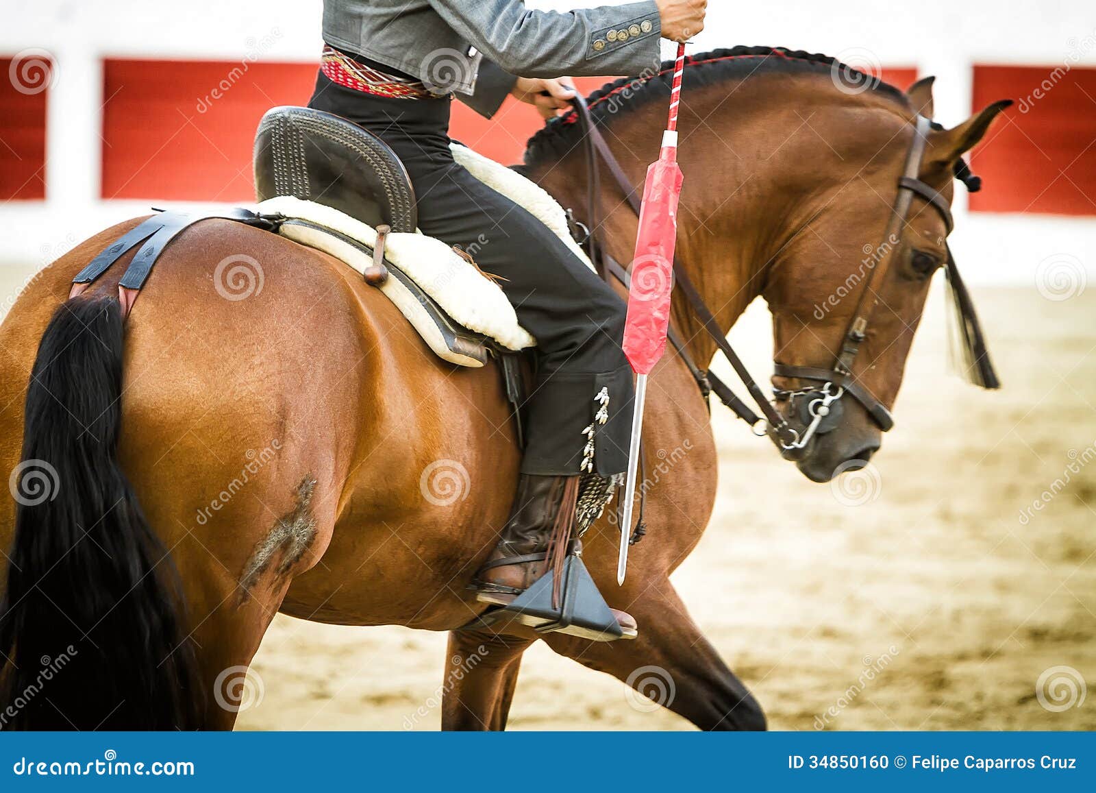 Bullfighter on Horseback Spanish Editorial Image - Image of andalusia ...