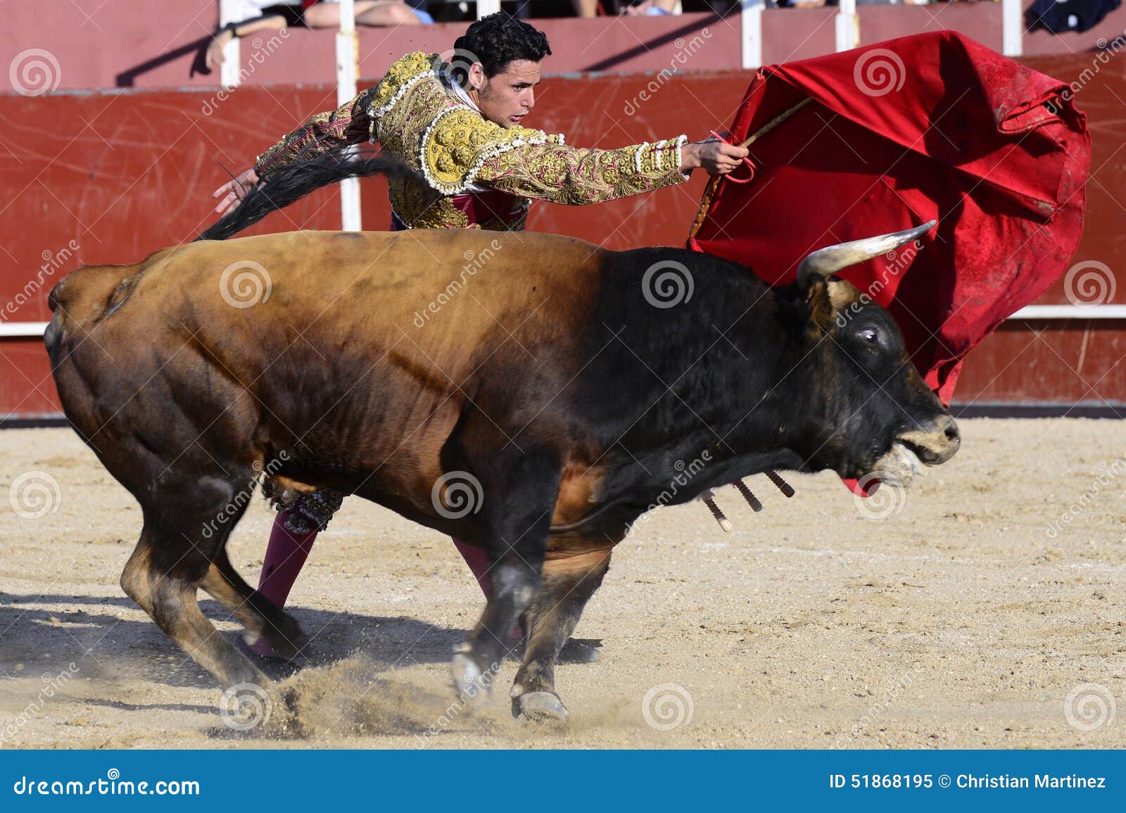 Bullfighter stock image. Image of profile, banderilla - 51868195