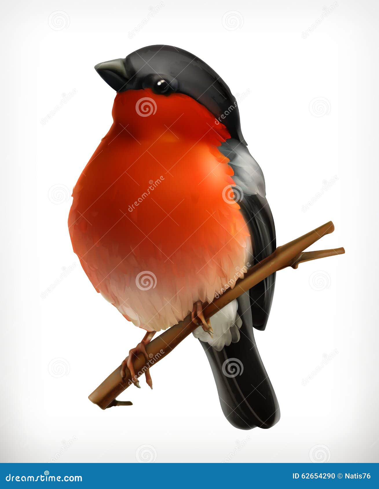 Bullfinch vector icon stock vector. Illustration of season - 62654290