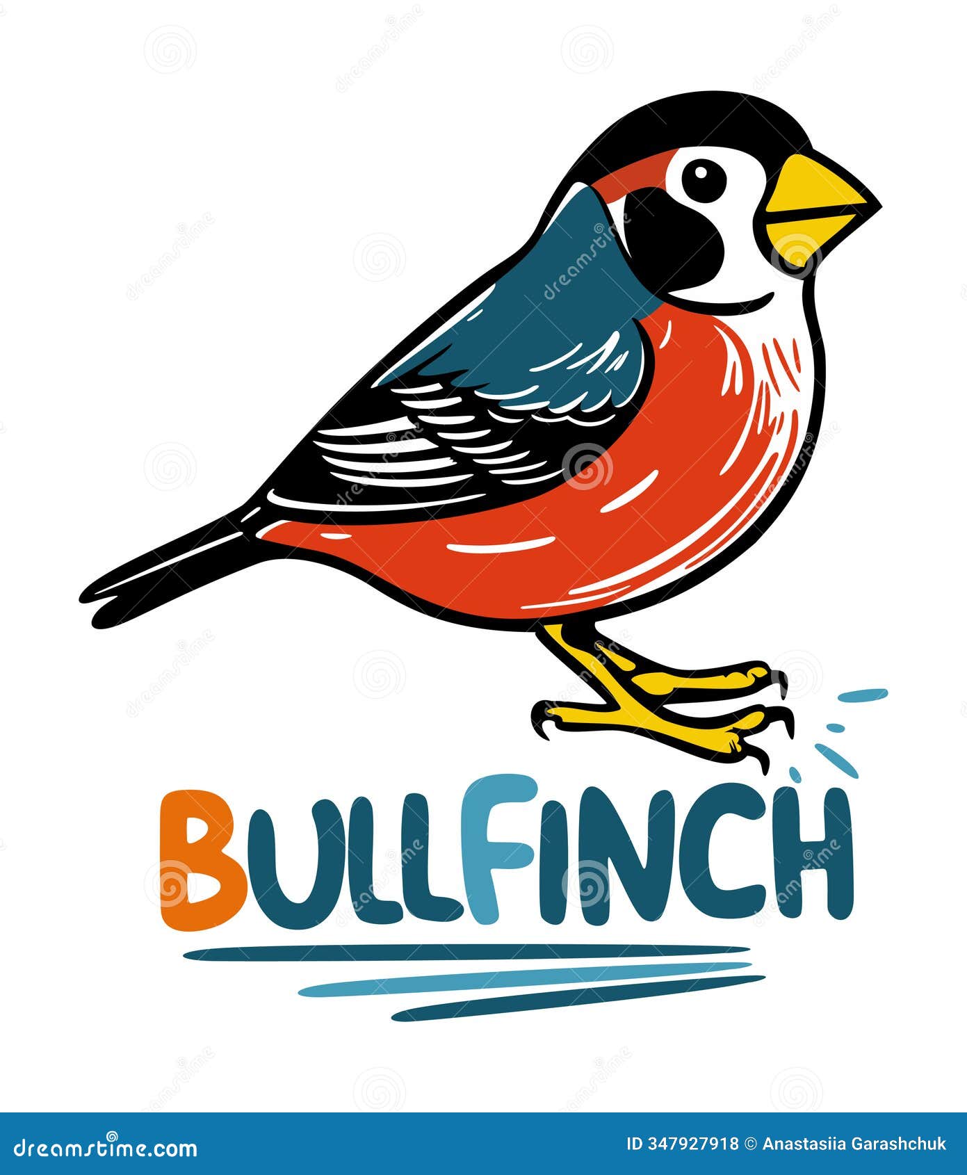 Bullfinch. Vector Illustration with Lettering Isolated on White ...